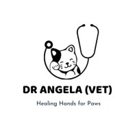 VET: Dr Angela Lau Yee Han (香港獸醫） – HK vet Dr Angela Lau Yee Han ...